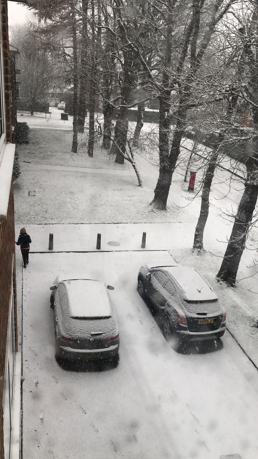 London snow Sunday 24 Jan. 2021 | johnbartels.com