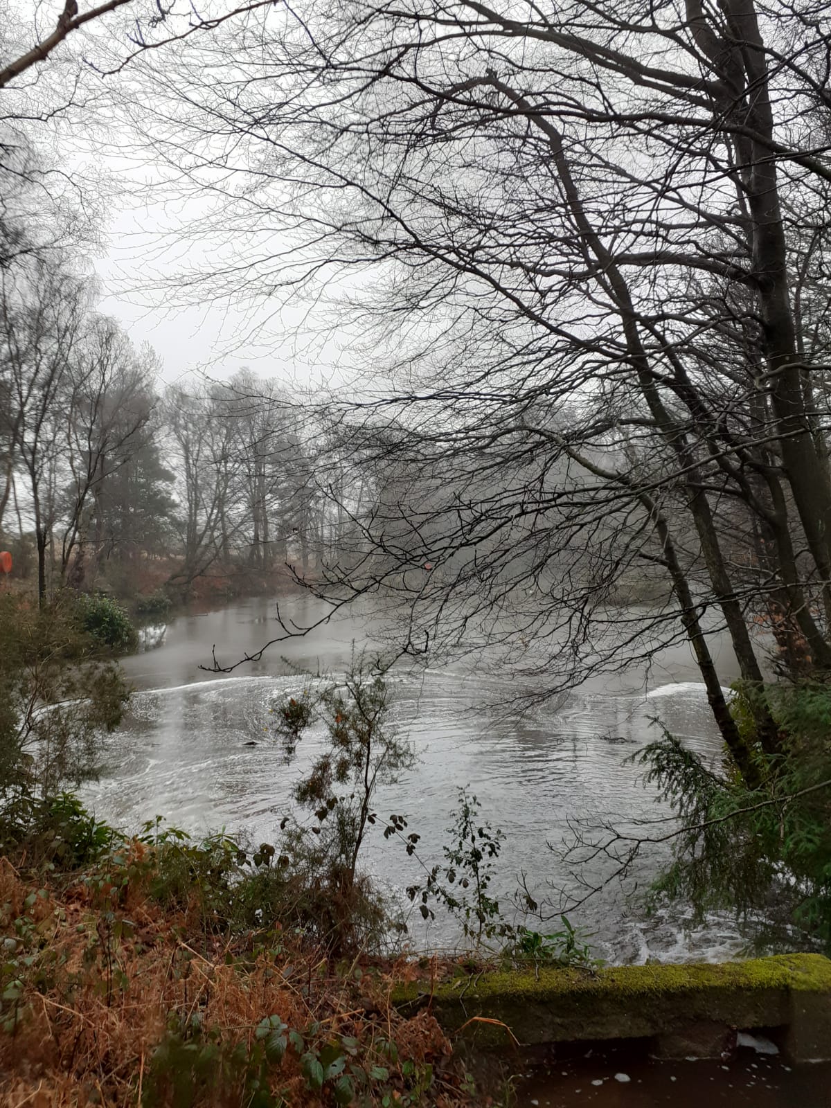 Beauty Beyond Words – The Magic of England’s Winter Wonderland February ...