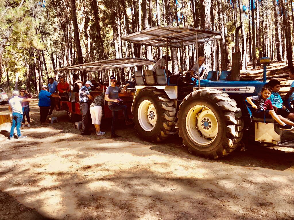 Montagu. An exciting tractor ride. A delicious meal. | johnbartels.com