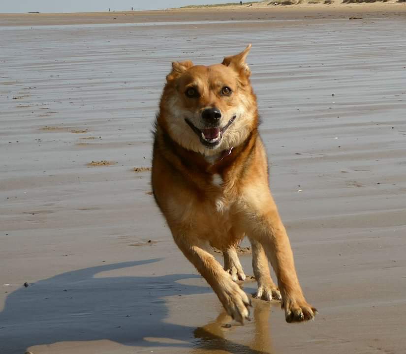 Poet Kiera’s Joy | johnbartels.com