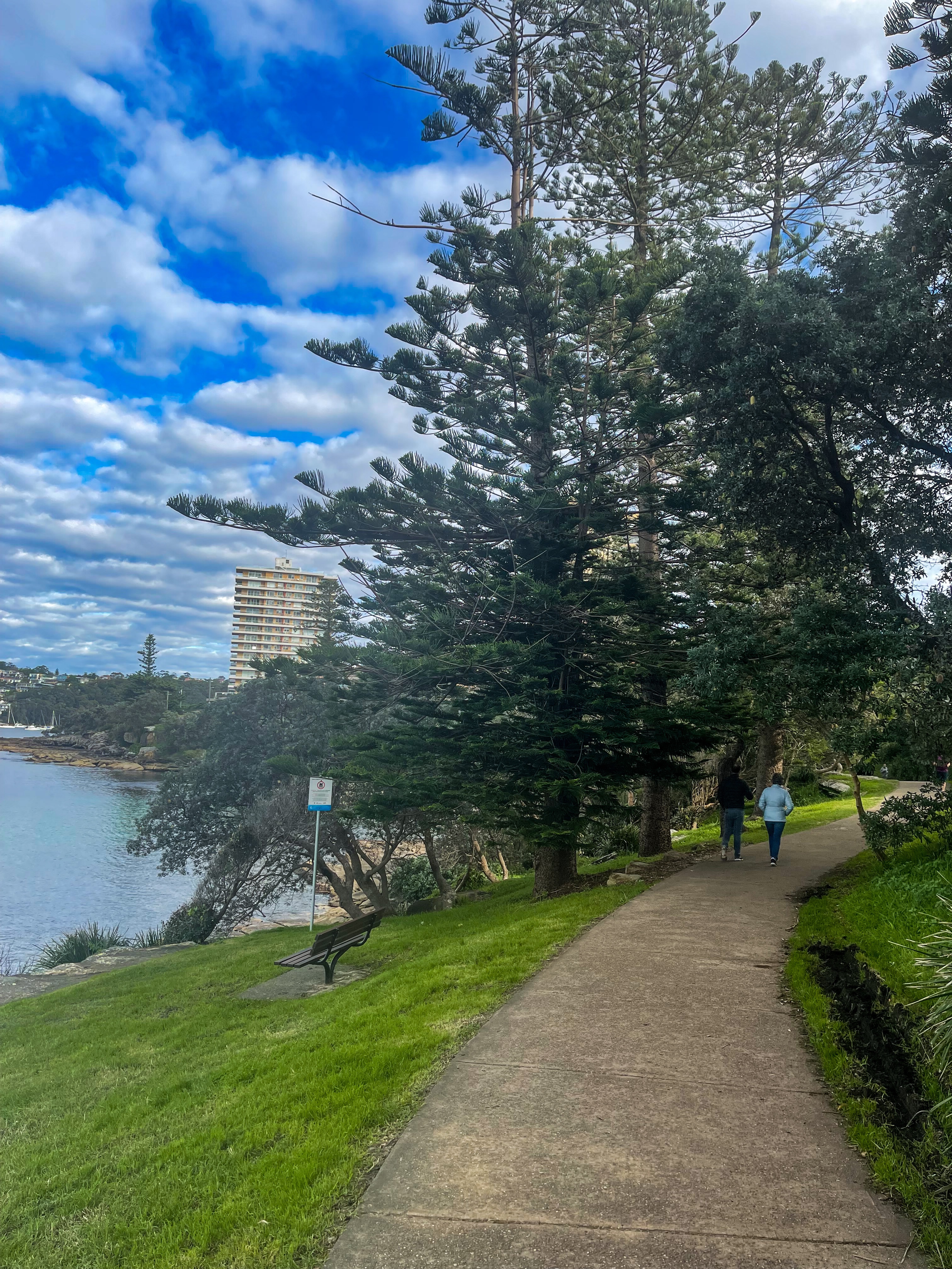 Walk from Manly Beach to Fairlight | johnbartels.com