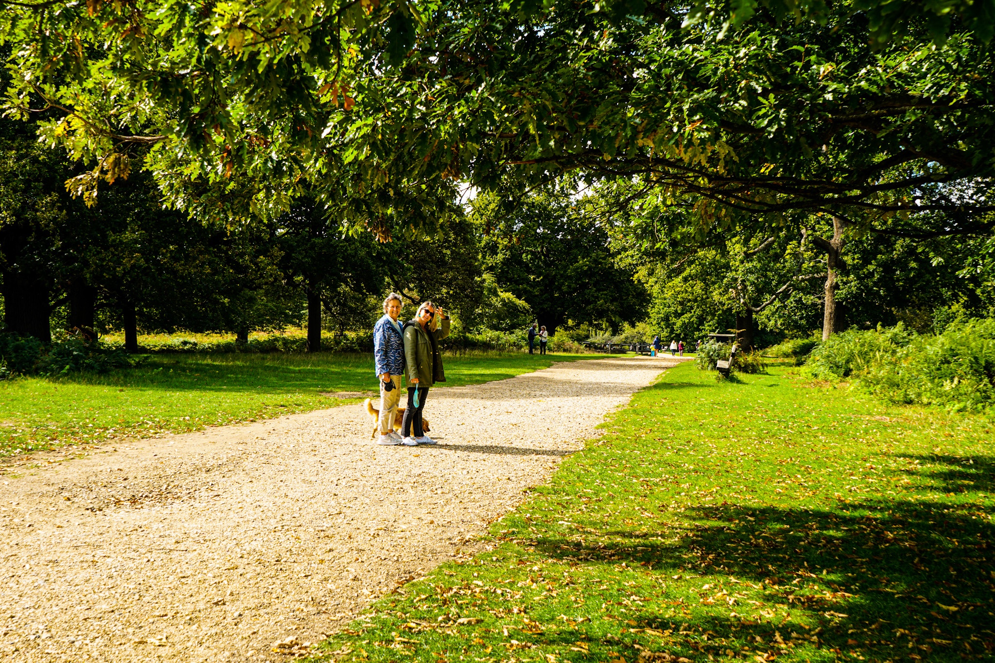 Richmond Park London | johnbartels.com