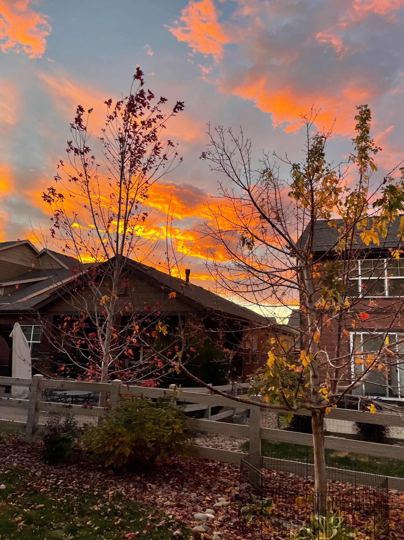 Autumn Prelude Colorado 2022 | johnbartels.com