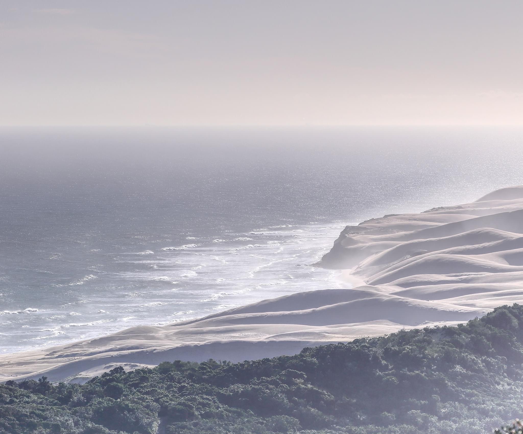 Woody Cape’s Visual Paean | johnbartels.com