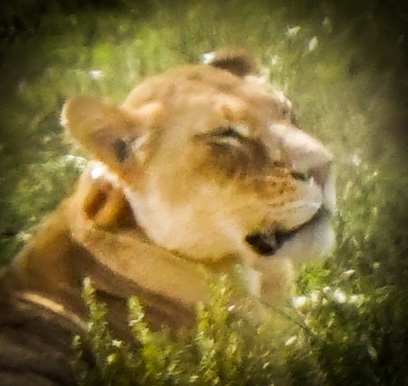 Addo – Another Interesting Visit 26 February 2023 | johnbartels.com