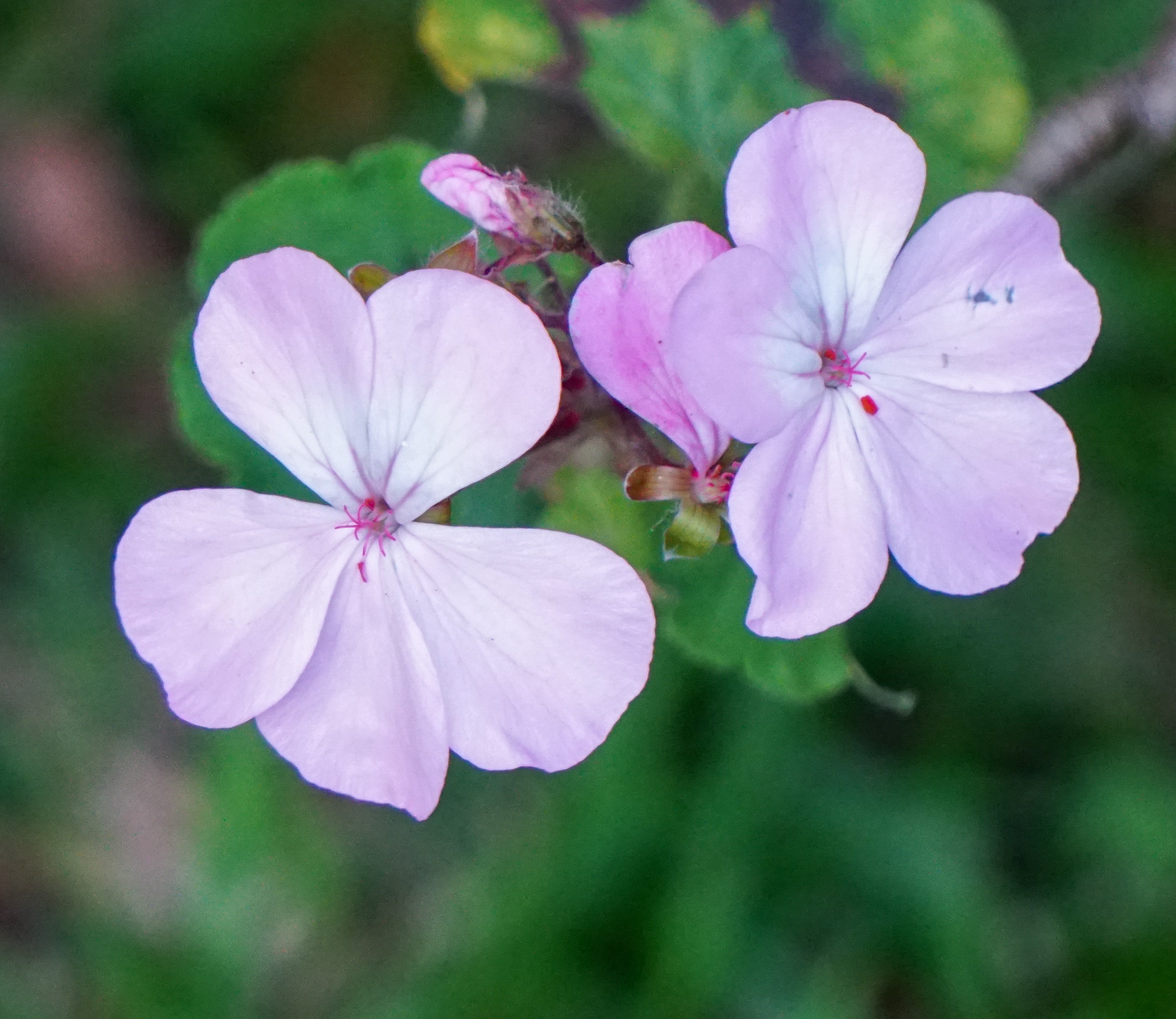 Music | johnbartels.com